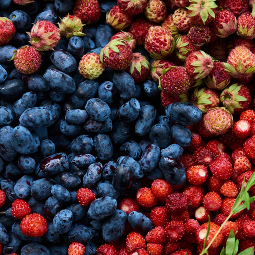 Wildberry Boost Primer | RAWW Cosmetics